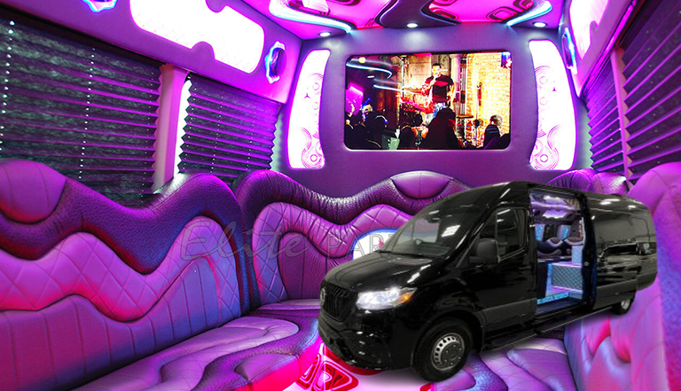 EXECUTIVE – Chicago Party Bus Rental